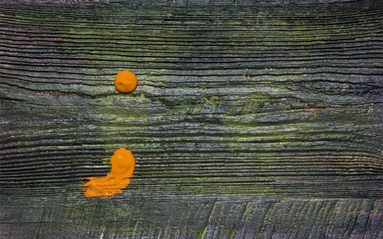 19 Symbols of Resilience That Inspire Strength and Hope