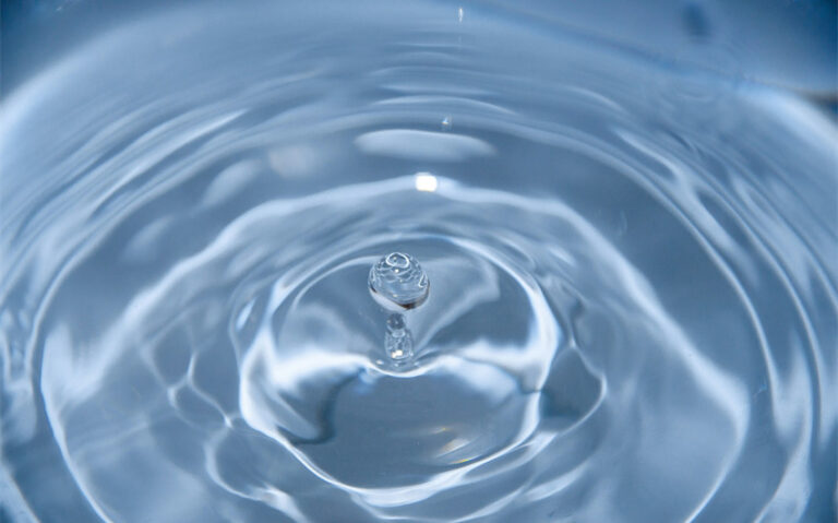 13 Spiritual and Natural Symbols of Rebirth Worth Exploring